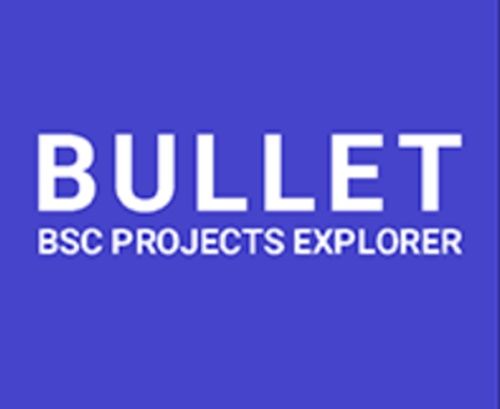 Bullet (BULL), a fully operational BSC project explorer platform