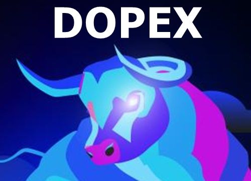 Dopex is a decentralized options protocol, now discover all it has to offer