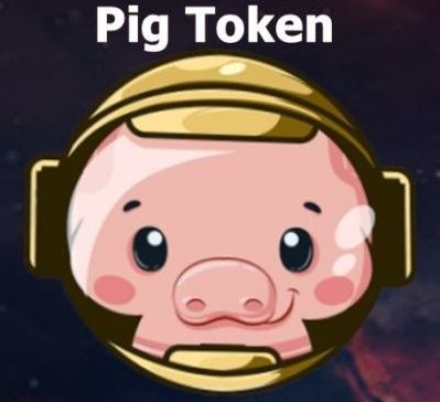 Pig Token (PIG), should we take this token seriously