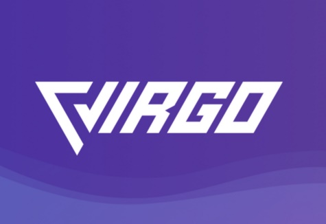 Virgo, a platform and its token, for what use?