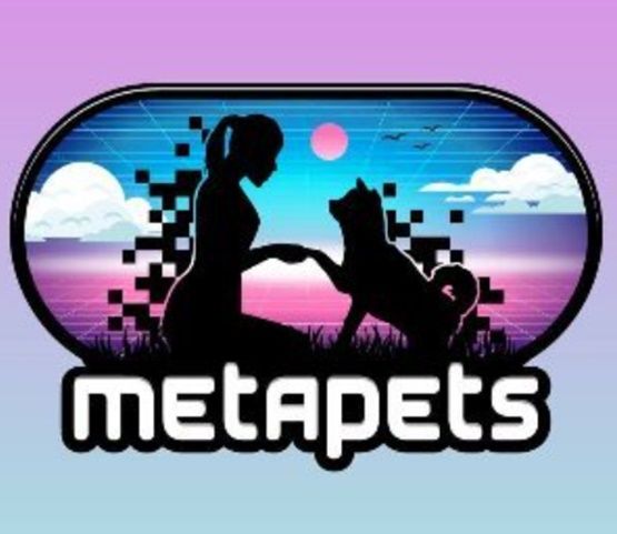 MetaPets transforming relationships with your pet through the Metaverse