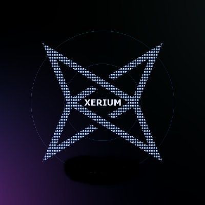 Xerium, the future of blockchain PAAS