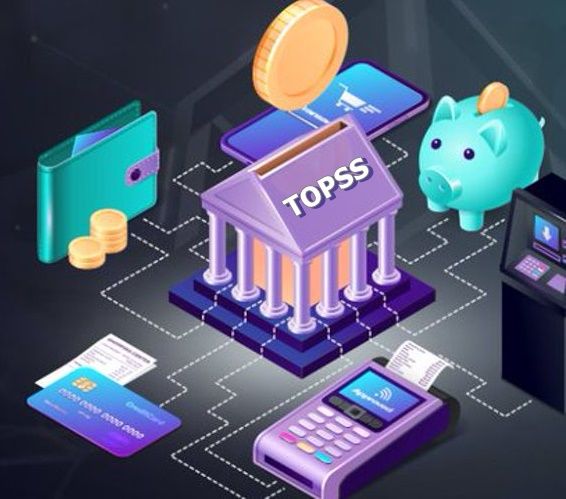 TOPSS, what is it about?