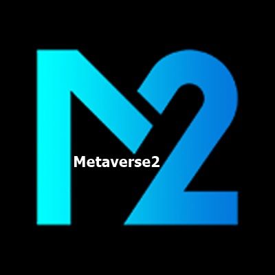 Metaverse2, basic information