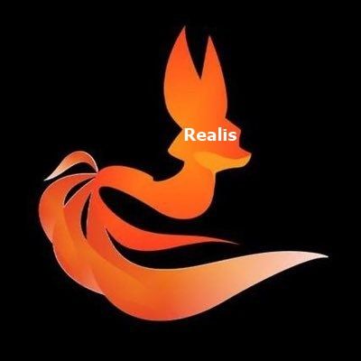 Realis, introduction to its ecosystem